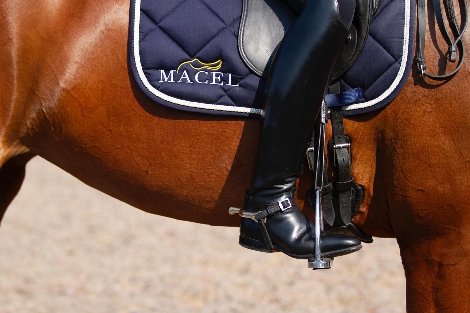 LA MACEL SAMBA par Jean-Luc CORNILLE – partie 3 - Macel Sellier