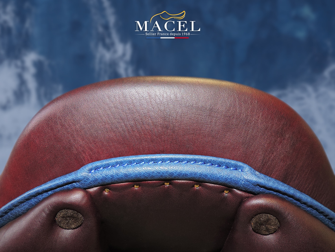 New saddles - Macel Sellier