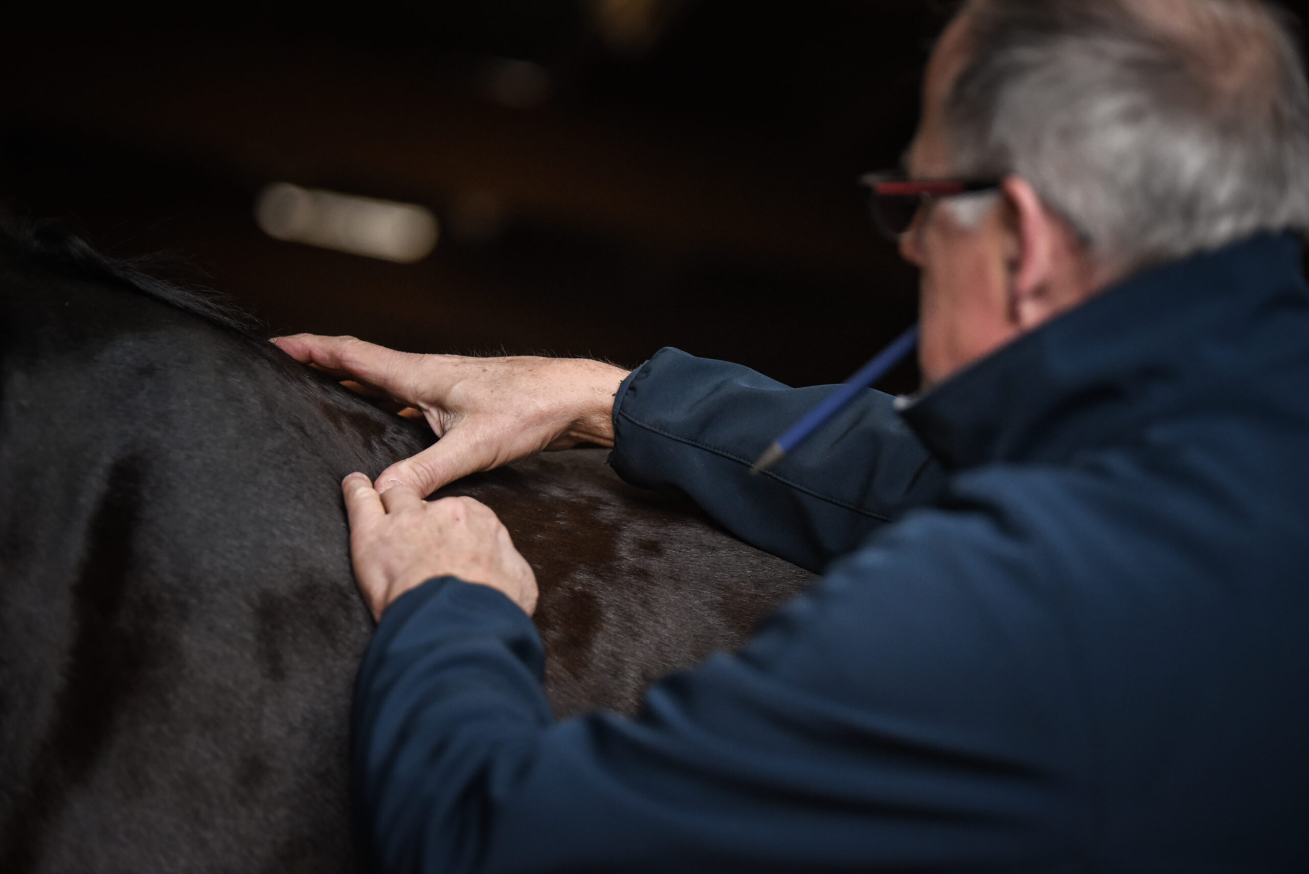 Form before your saddle trying - Macel Sellier